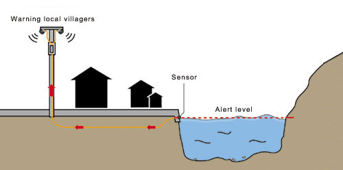 DSD Annual Report 00/01