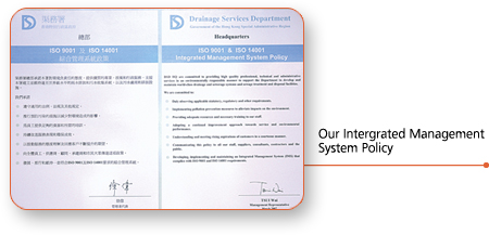 DSD Annual Report 2006-2007