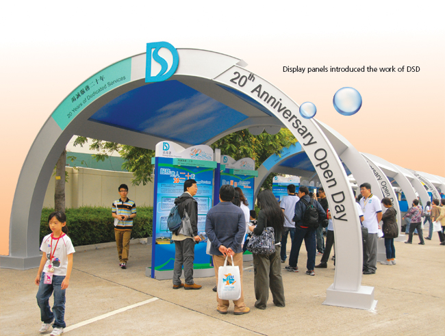 DSD Annual Report 2008-2009