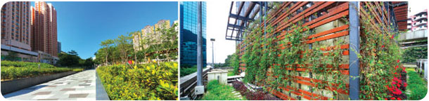 Untitled Document [www.dsd.gov.hk]