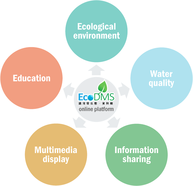 DSD ECO - Background